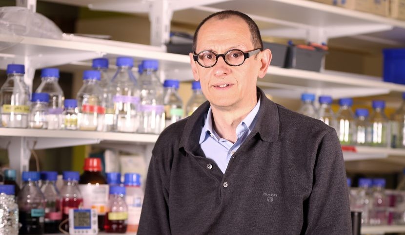 Quel est le diagnostic de la dépression ? | Institut du Cerveau