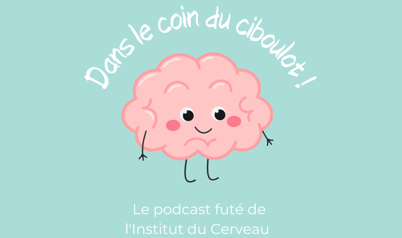 Dans le coin du ciboulot : Pourquoi j’ai du mal à ranger ma chambre ...