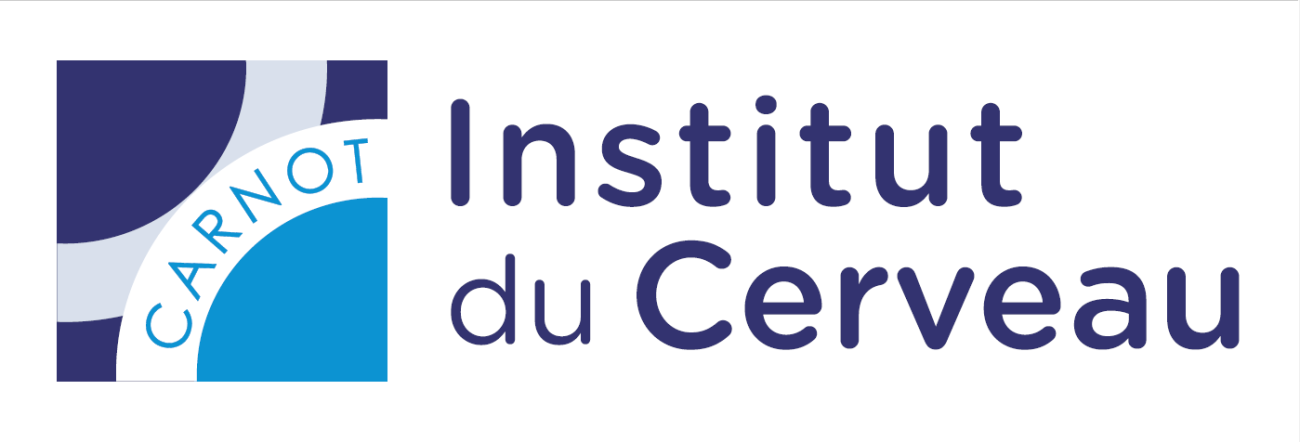 Notre modèle | Institut du Cerveau