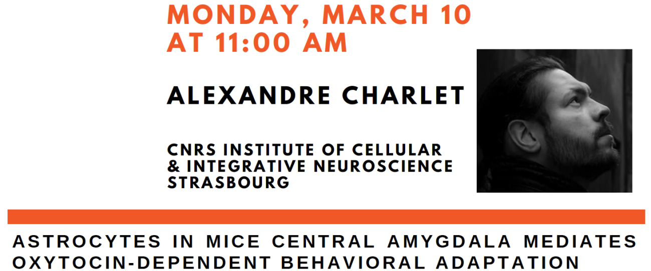 Conférences scientifiques : Alexandre CHARLET (en anglais) | Institut ...