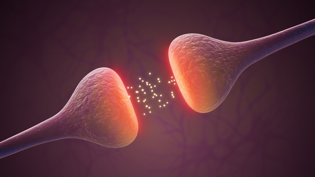 Qu'est-ce qu'un neurotransmetteur