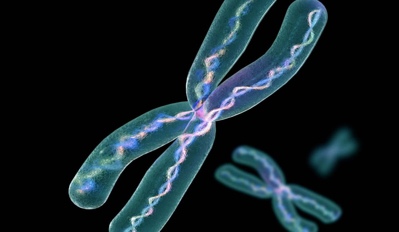 Syndrome de Rett : une nouvelle thérapie génique en vue | Institut du ...