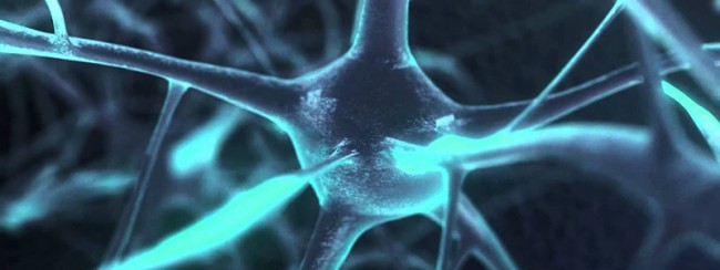 Paraplégie Spastique héréditaire ou maladie de Strumpell Lorrain