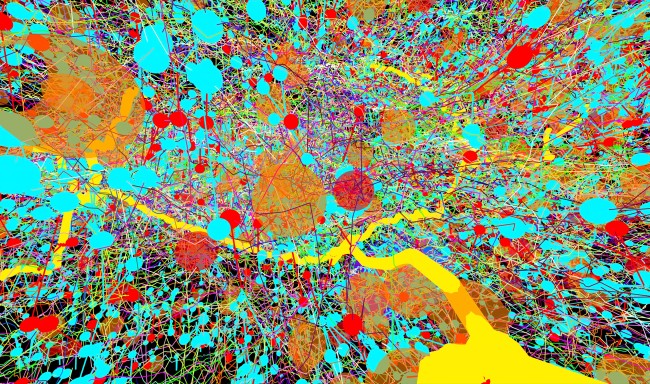 La qualité des mitochondries durant le neurodéveloppement est cruciale ...